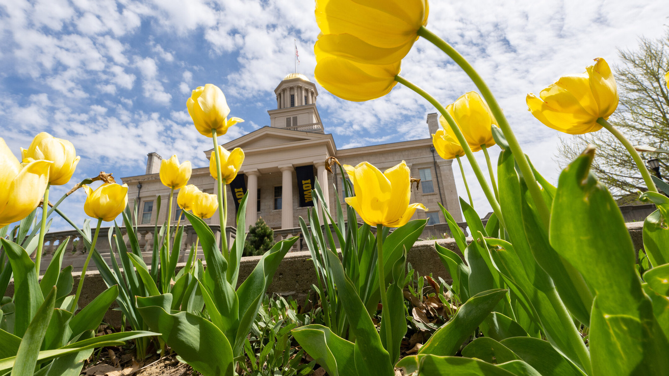 CLAS Resource Site | College of Liberal Arts and Sciences | The ...